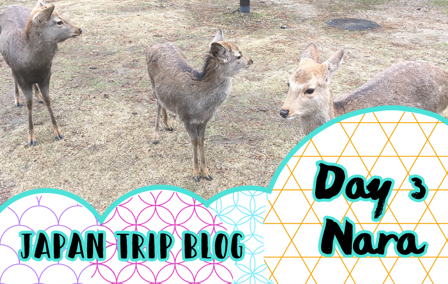 Japan Blog Post: Day 3 – Gold Crow Co.